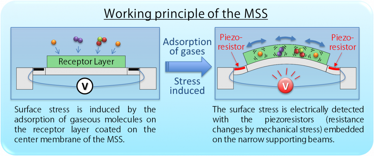 MSS Alliance Launched to Set De Facto Standard for Odor-Sensing… – Blog ...