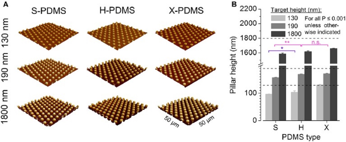 Nano And Micro Patterned S H And X Pdms For Cell Based Blog