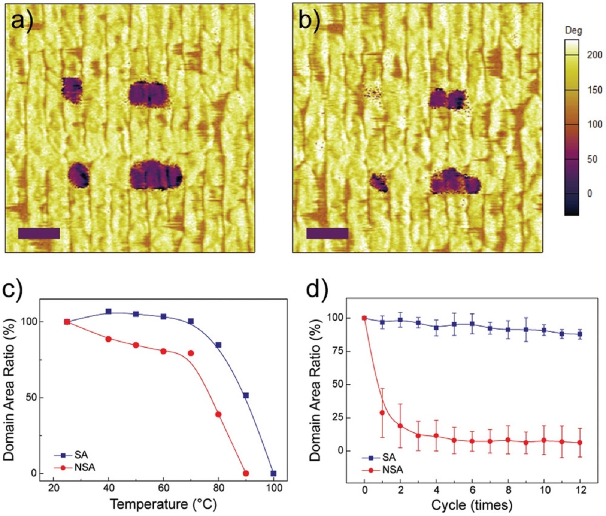 Flexible Robust and High‐Density FeRAM from Array of Organic… – Blog ...