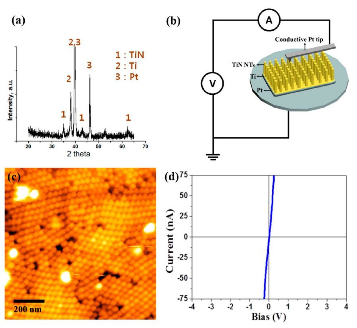 Flexible 3D Electrodes of Free-Standing TiN Nanotube Arrays Grown ...