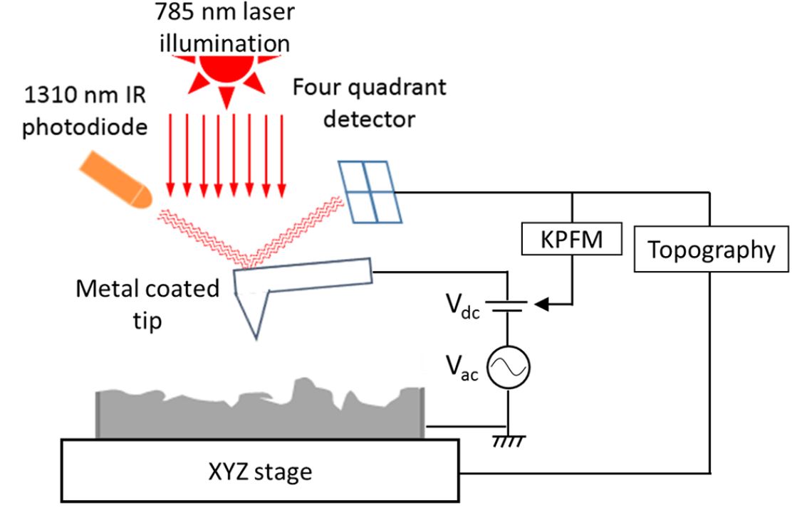 KPFM surface photovoltage measurement and numerical simulation – Blog • by NanoWorld® - World ...