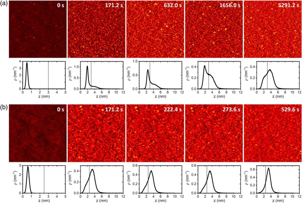 Adsorption of SARS-CoV-2 Spike Protein S1 at Oxide Surfaces… – Blog ...