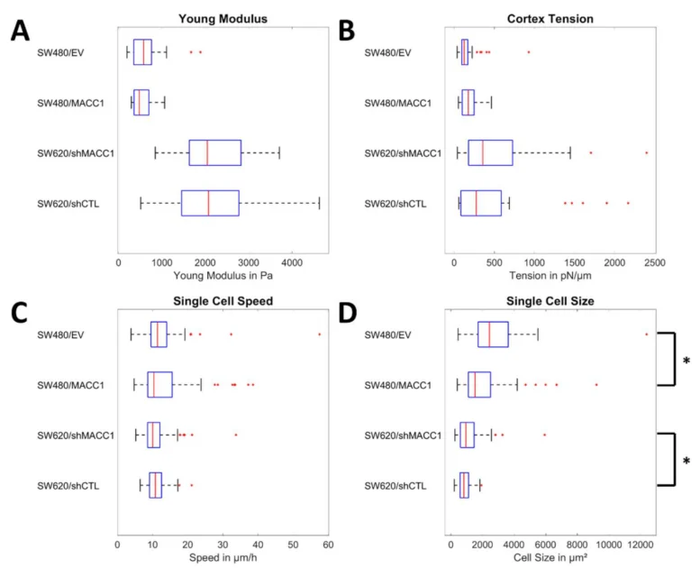 MACC1-Induced Collective Migration Is Promoted by Proliferation… – Blog ...
