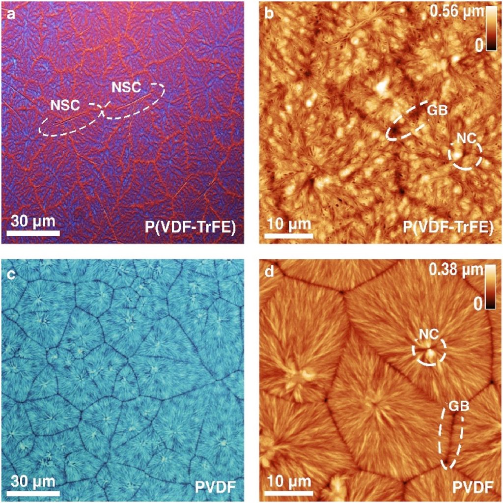 Spherulite-like microstructure observed for spin-cast P(VDF-TrFE ...