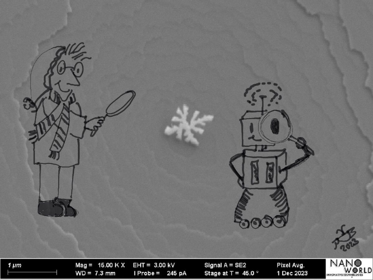 Season’s Greetings – Blog • by NanoWorld® - World Leader in AFM Tips